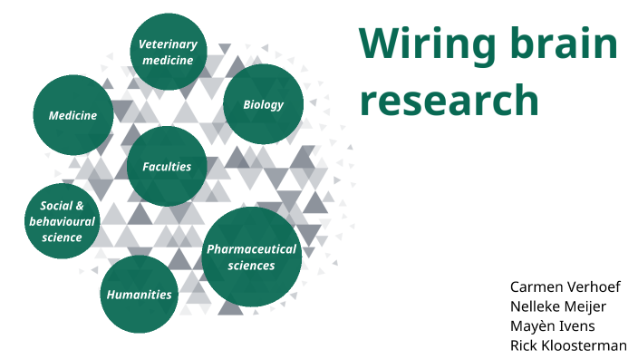 USP Framework by Mayèn Ivens on Prezi