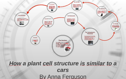 How a cells structure is similar to a cars by on Prezi