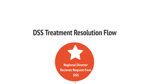 DSS Case Resolution Process by Katie Varnadoe on Prezi Design