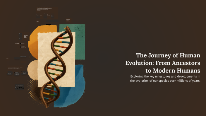 The Journey of Human Evolution: From Ancestors to Modern Humans by ...
