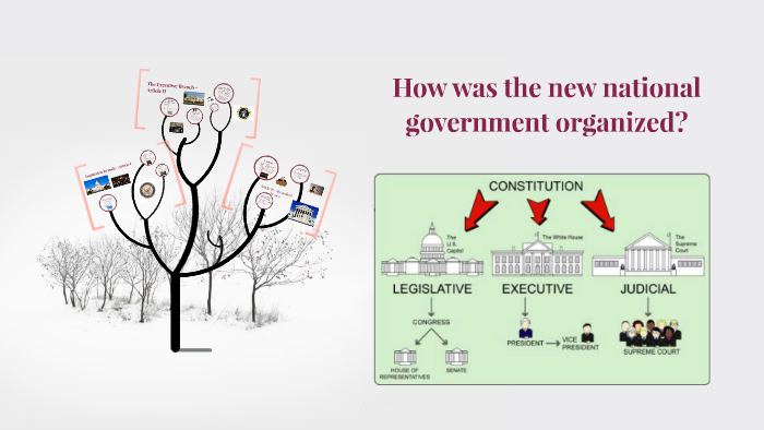 How was the new national government organized? by Megan Thomas on Prezi