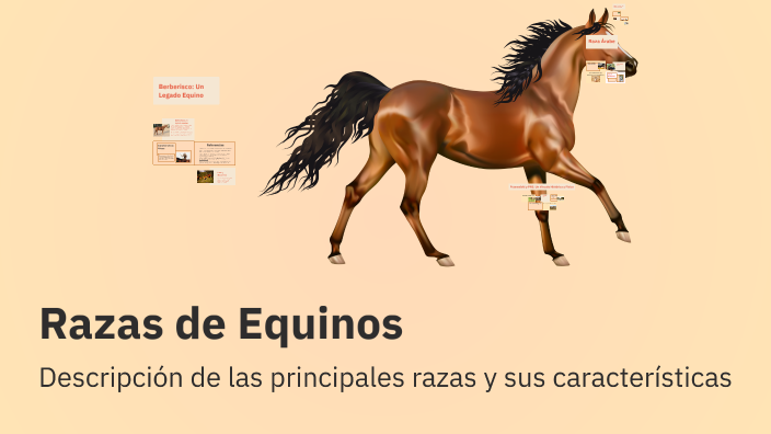 Razas de Equinos by mariana guerra on Prezi