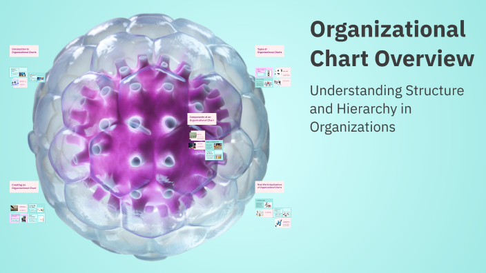Organizational Chart Overview by Chris Chance on Prezi