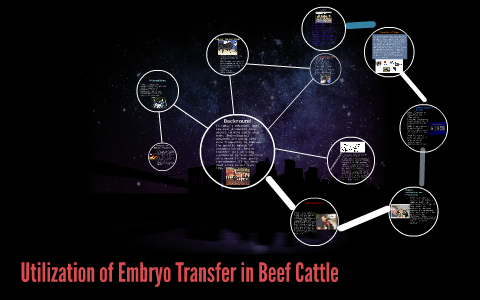 Utilization of Embryo Transfer in Beef Cattle by Madison Gibbons on Prezi