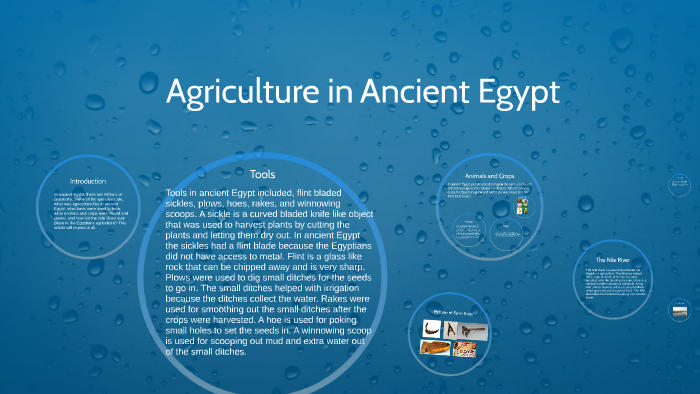 Agriculture in Ancient Egypt by Drake Kiefer on Prezi