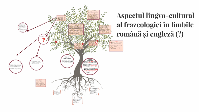 Aspectul lingvo-cultural a frazeologiei limbii române și eng by Ludmila ...