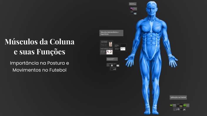 Músculos da Coluna e suas Funções by Stanley Filho on Prezi