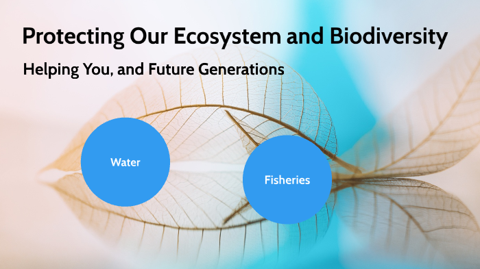 Protecting Our Ecosystem and Biodiversity by DAUSGHUKSD UUDAULYFU on Prezi