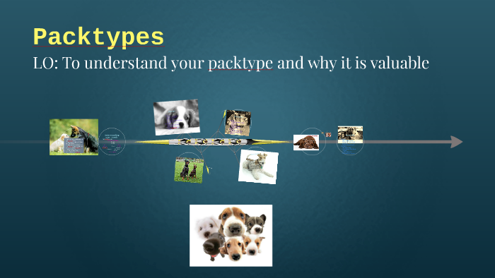 Packtypes by Amanda Seys on Prezi
