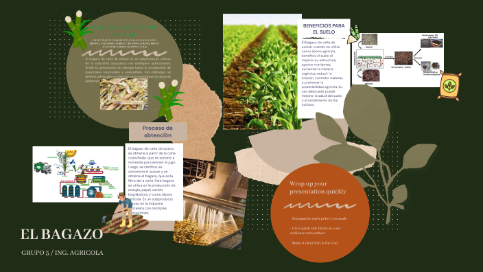 El bagazo de caña de azúcar by Nick Mora Martinez on Prezi