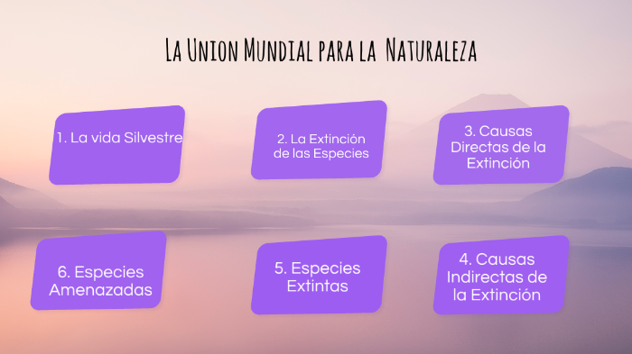 La Union Mundial para la Naturaleza by Paola Ixen on Prezi