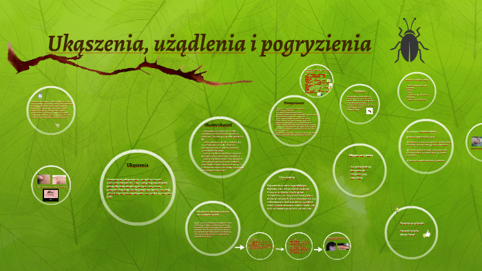 Ukąszenia, użądlenia i pogryzienia by Małgorzata Gosia on Prezi
