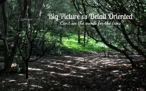 Big Picture vs. Detailed by Sarah Berardo on Prezi