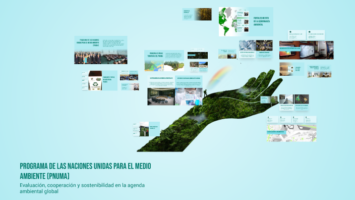 Programa de las Naciones Unidas para el Medio Ambiente (PNUMA) by irene ...