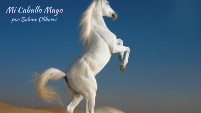 Mi Caballo Mago Analisis by Edward J on Prezi