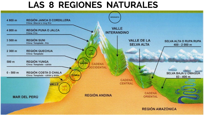regiones naturales by aldo sakihara frias on Prezi