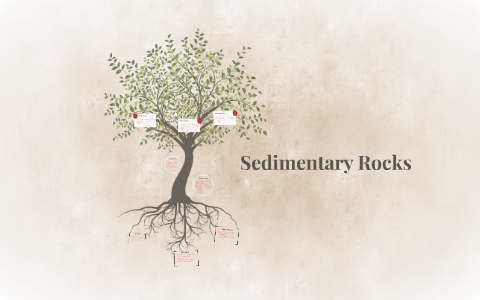 Sedimentary Rock by Susannah Closson on Prezi