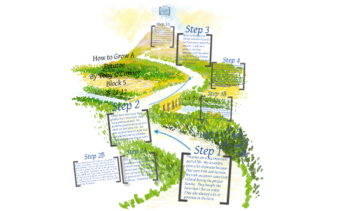 Flow Chart for Research on Potatoes and How to Plant Them by Tony O ...