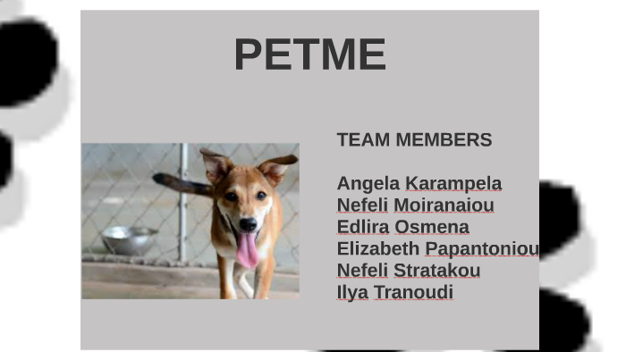 PETME by PETME CAMPAIGN on Prezi