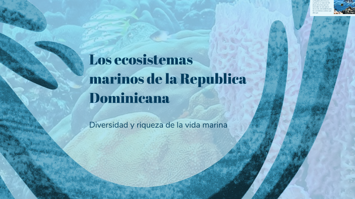 Los ecosistemas marinos de la Republica Dominicana by Ainara Liñero on ...