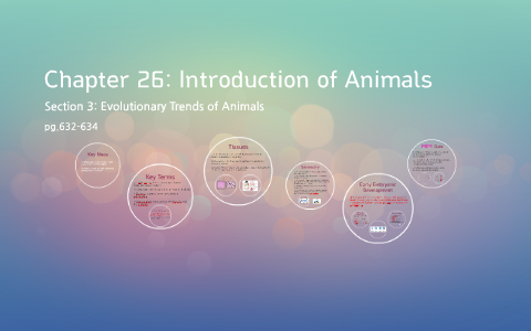 Chapter 26: Introduction of Animals by Grace Im on Prezi