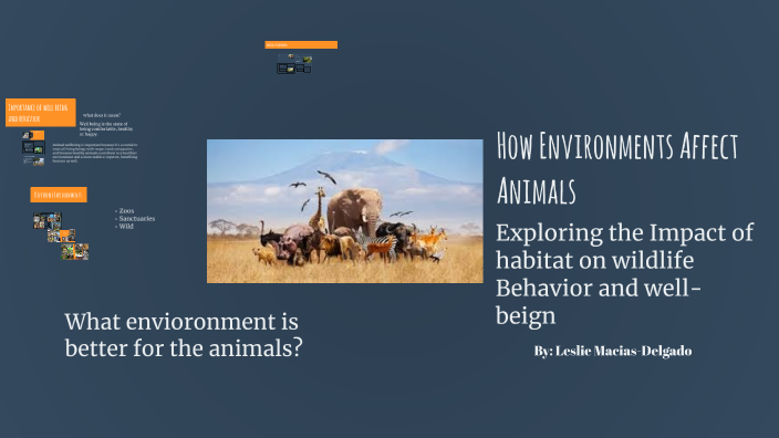 How Environments Affect Animals by Leslie Macias-Delgado on Prezi