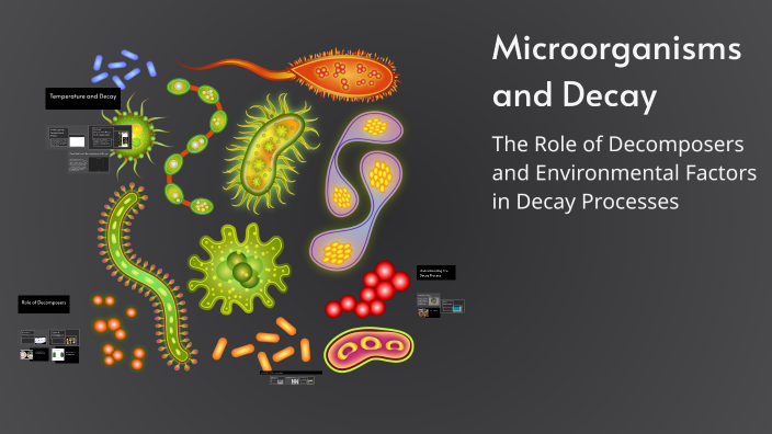 Microorganisms and Decay by Ruviniyia Kalaiselvam on Prezi