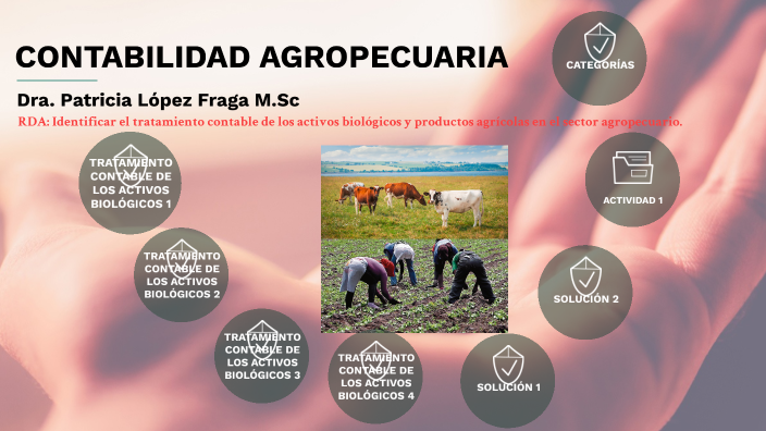 Tratamiento contable de Activos Biológicos by Patricia López Fraga on Prezi