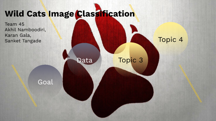 Wild Cats Image Classification by Akhil Namboodiri on Prezi