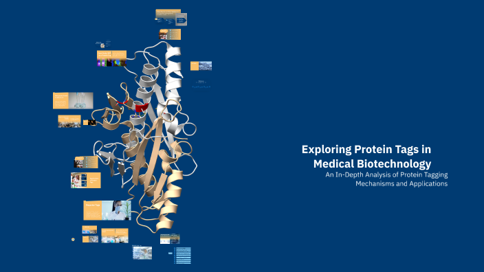 Exploring Protein Tags in Medical Biotechnology by puria rostampour on ...