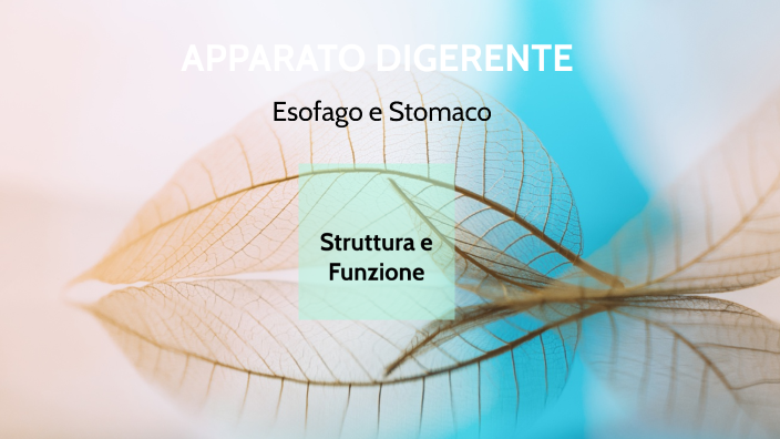 Esofago e Stomaco by Annamaria Sala on Prezi