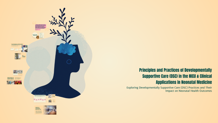 Principles and Practices of Developmentally Supportive Care (DSC) in ...