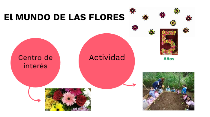 El mundo de las flores by rita rodríguez león on Prezi