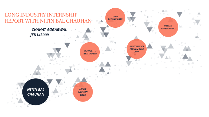 LIA LONG INDUSTRY INTERNSHIP REPORT OF CHAHAT AGGARWAL by CHAHAT ...
