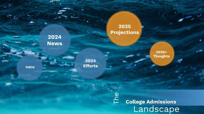 Board Report 2024 by Niki Applebaum on Prezi