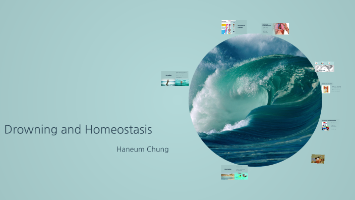 Drowning and Homeostasis by HC - 12ZZ 1072246 Erindale SS on Prezi