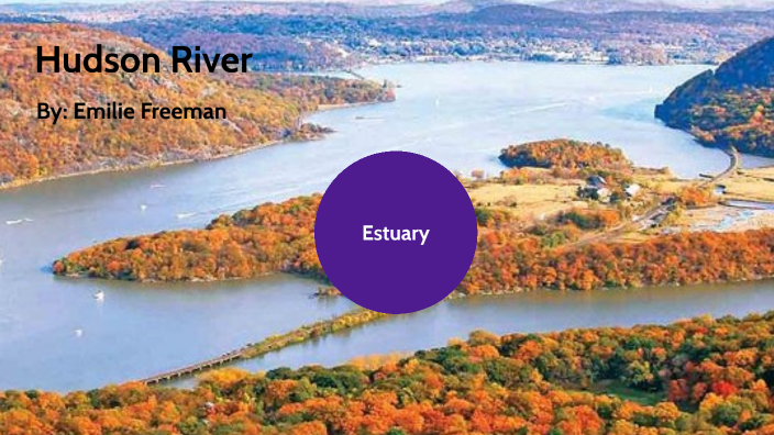 Hudson River(Estuary) by Emilie Freeman on Prezi