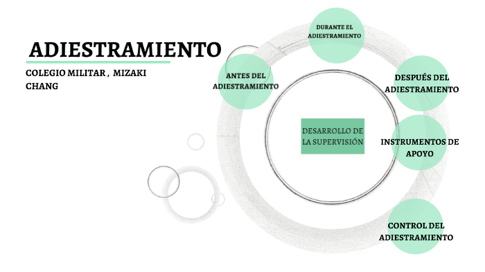 DESARROLLO DE LA SUPERVISIÓN by noe mizaki chang molina on Prezi