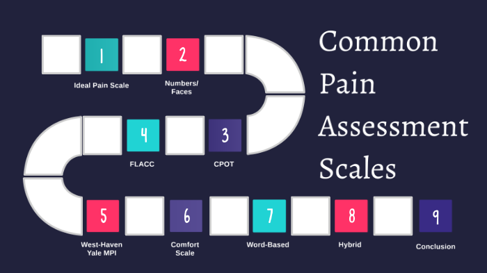 Pain Assessment Scales by Rachel Yuchimiuk on Prezi