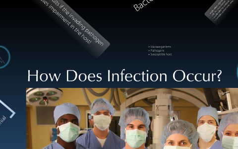 Infection Control by stephanie halverson on Prezi