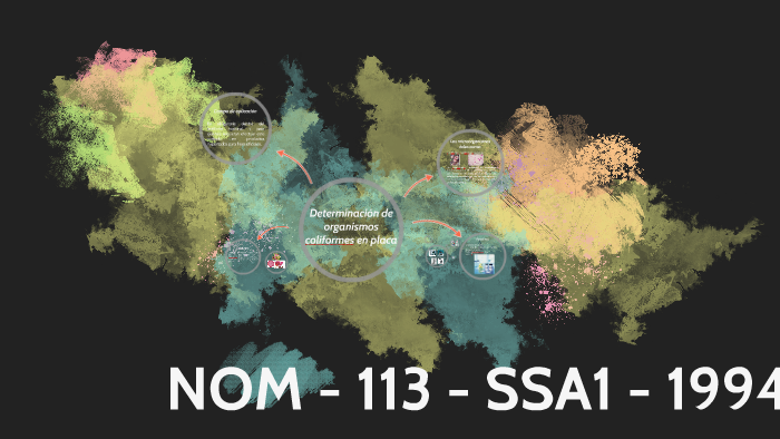 NOM - 113 - SSA1 - 1994 by Sandra Martinez on Prezi