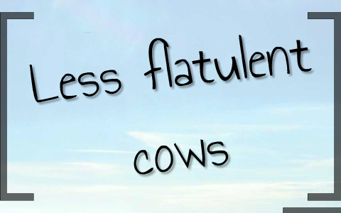 Less Flatulent Cows by Holly Feeney on Prezi