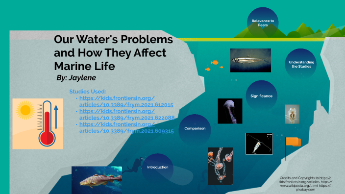Project 1: Our Water's Problems and How They Affect Marine Life by ...