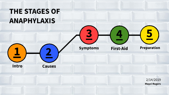 The Stages of Anaphylaxis by mayci rogers on Prezi