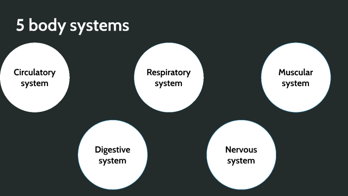 5 body systems by Semaj Smith on Prezi