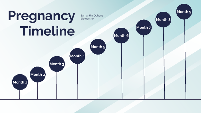 Pregnancy Timeline by Salena Dubyna on Prezi