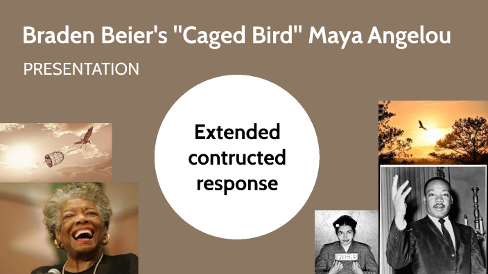 Braden Beier "Caged Bird" by Braden Beier on Prezi