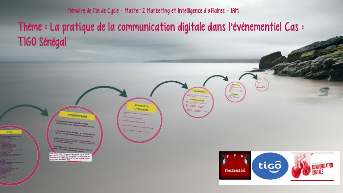 Mémoire de Fin de Cycle - Master 2 Marketing et Intelligence by sophie ... Mémoire de Fin de Cycle - Master 2 Marketing et Intelligence by sophie ...