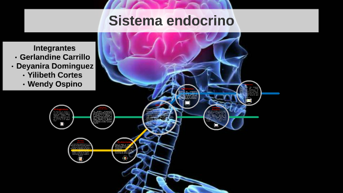 Sistema endoctrino by deyanira dominguez alfaro on Prezi