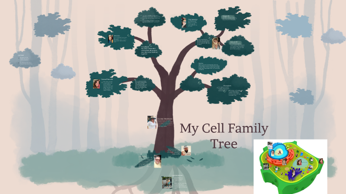 Cell Family Tree by Amilee Letourneau on Prezi